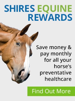 Shires Vets Equine Services