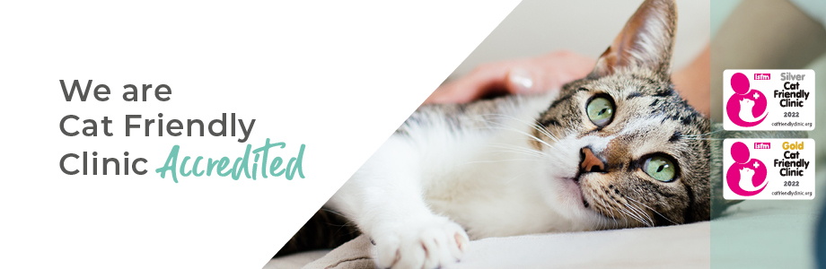 Cat Friendly Clinic