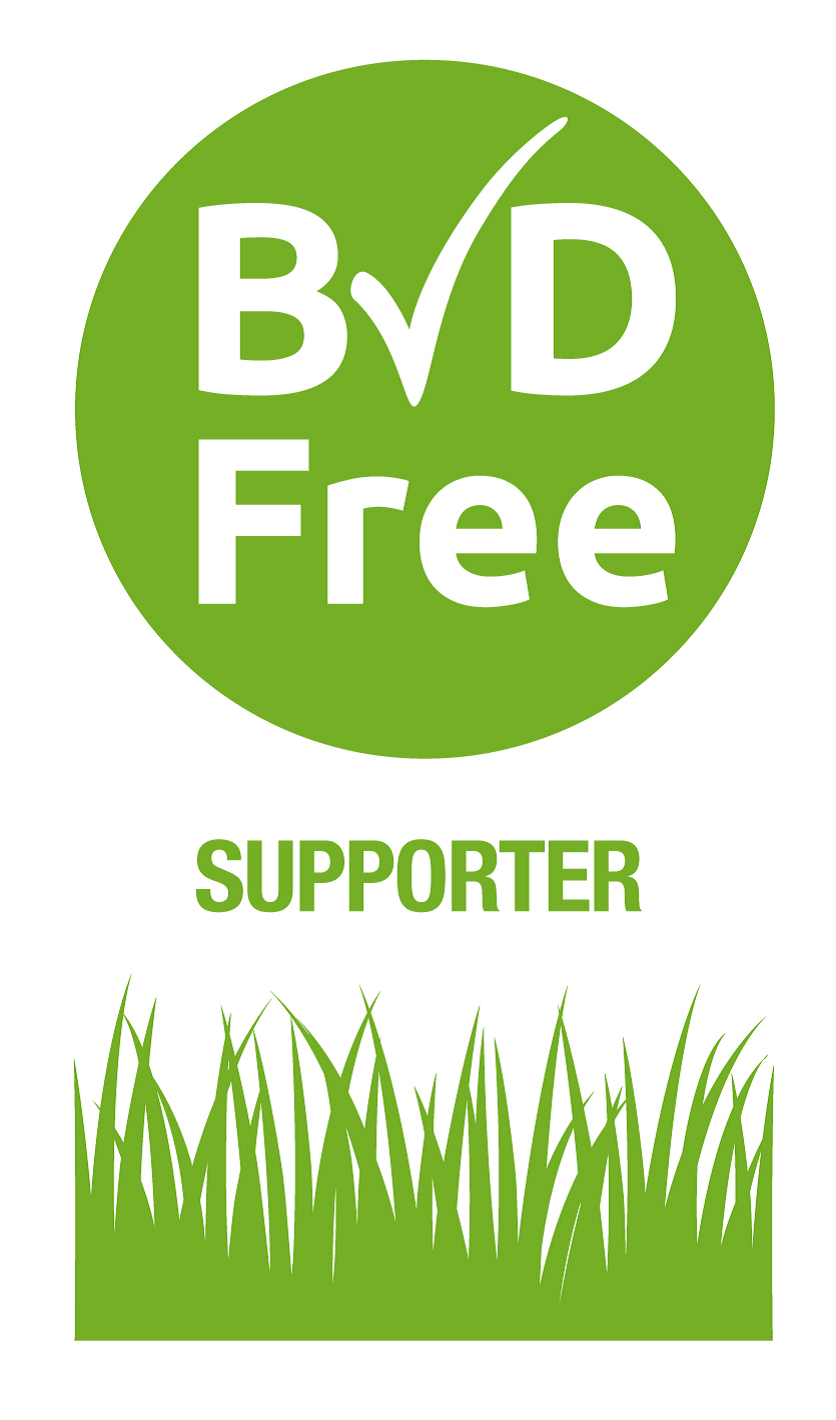 BVD Free England Scheme | Shires Vets