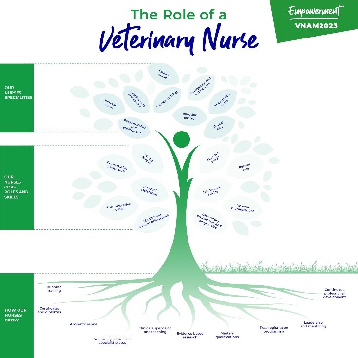 Veterinary Nursing Awareness Month | Shires Vets | Stafford